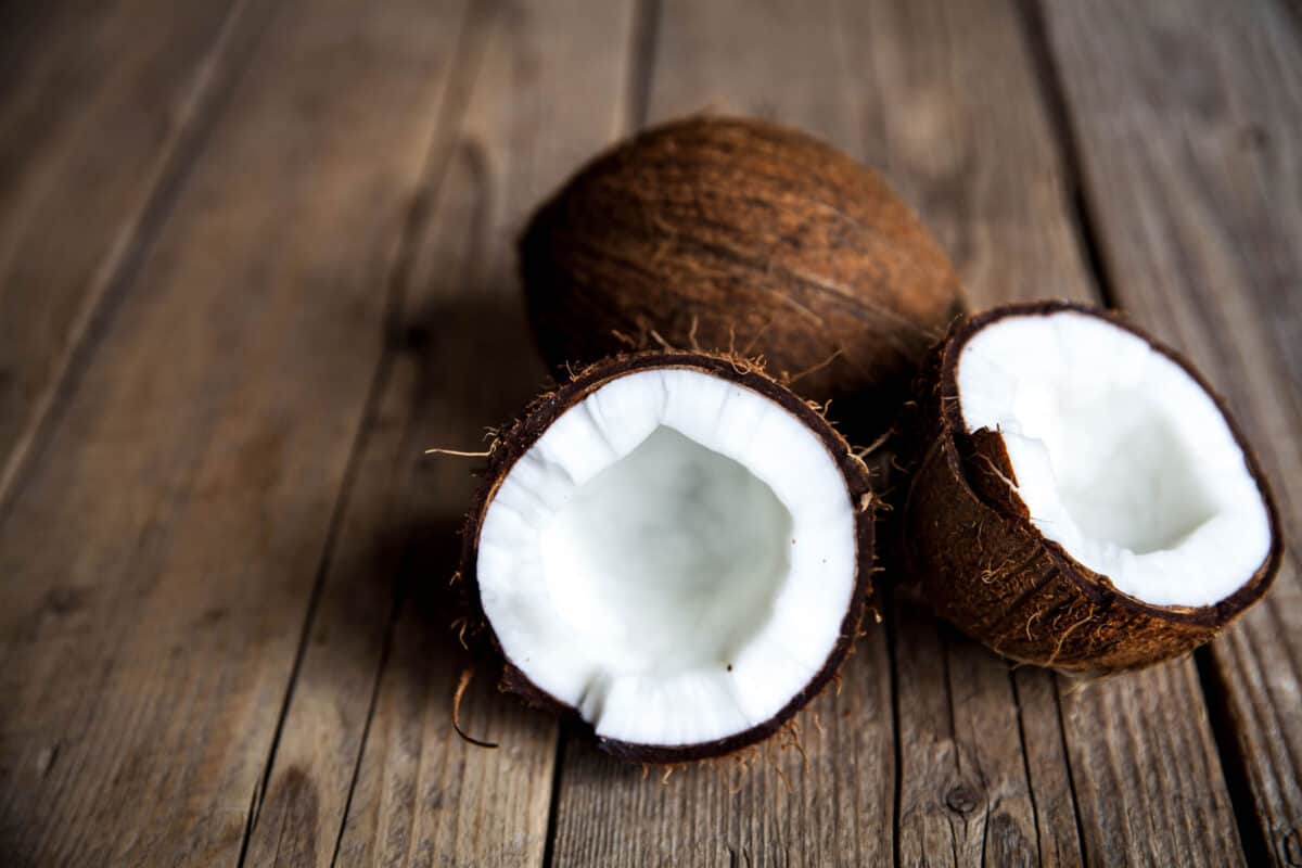 ¿Cuándo se Celebra el Día Mundial del Coco? Te cuento cuál fue su ORIGEN